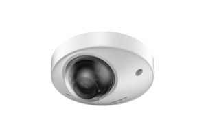 Accessories - Luminys WIKI